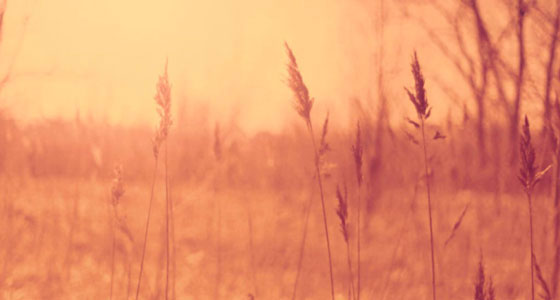 BookBlock: A Content Flip Plugin - Demo 2