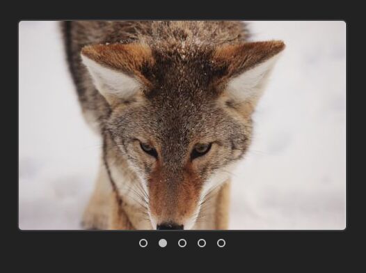 Basic HTML List Based Content Slider Plugin Linear Slider Free 