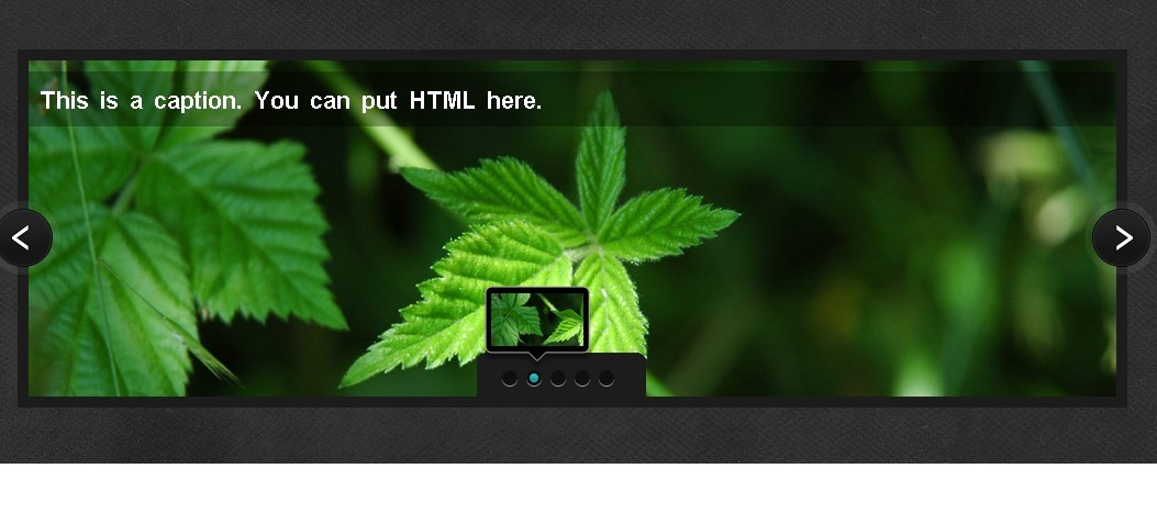 JQuery Image Slider Plugin With Thumbnail And Transition Effects 